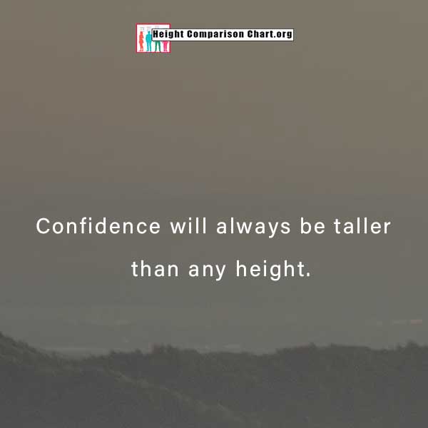 Motivational & Inspiring Height Quotes (2026)